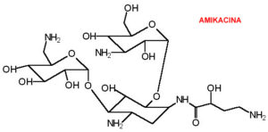 Amikacina: Qué es, para qué sirve, nombre comercial y más