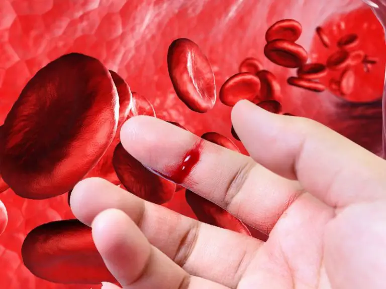 Fitomenadiona: Usos, nombre comercial, mecanismo de acción y más