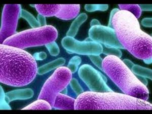 Cloruro de benzalconio: Qué es, para qué sirve, nombre comercial y más