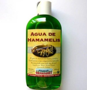 Hamamelis: Qué es, para qué sirve, indicaciones y más