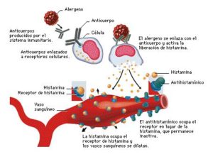 Clemastina: Para qué sirve, nombre comercial, indicaciones y más