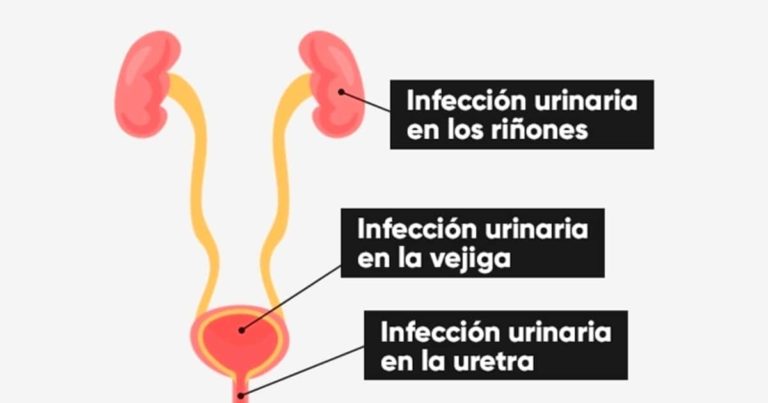 Darifenacina: para qué sirve, dosis, mecanismo de acción y más