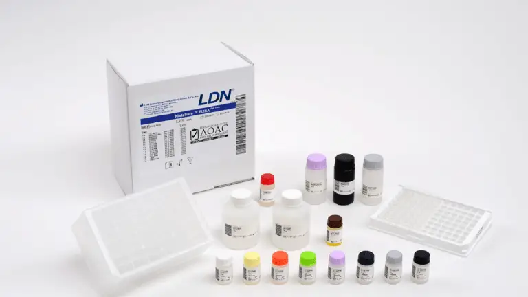 Lisozima: qué es, para qué sirve, mecanismo de acción y más