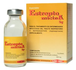 Estreptomicina: Para qué sirve, nombre comercial, farmacocinética y más