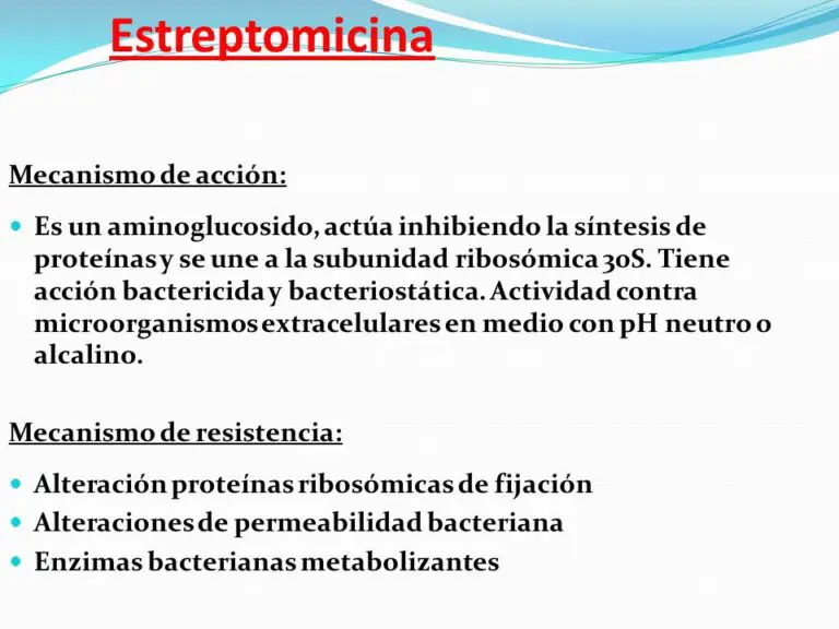 Estreptomicina: Para qué sirve, nombre comercial, farmacocinética y más