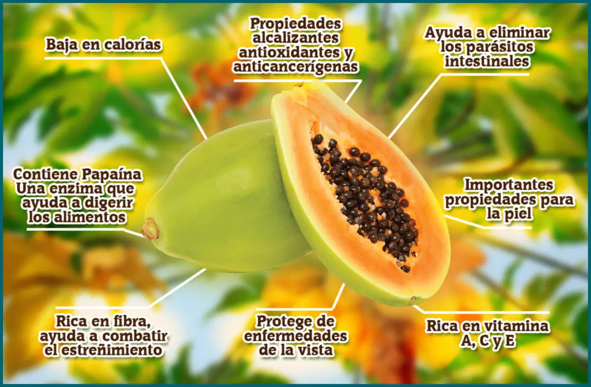 Papaína: Qué es, para qué sirve, contraindicaciones y más