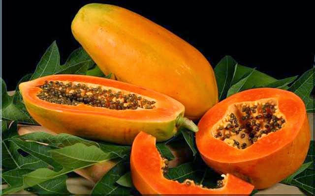 Papaína: Qué es, para qué sirve, contraindicaciones y más