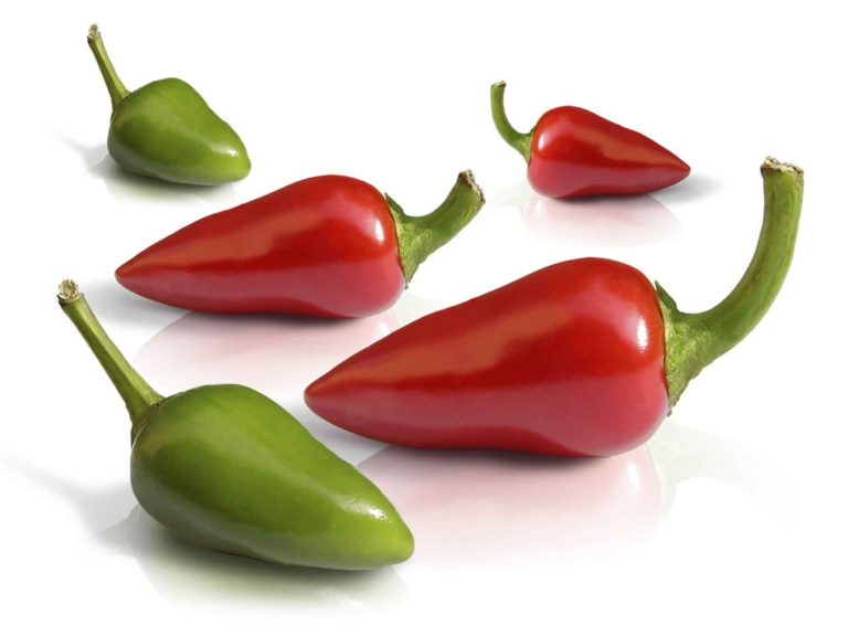 CAPSAICINA: Qué es, para qué sirve, nombre comercial y más