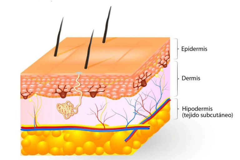TROLAMINA: Qué es, para qué sirve, nombre comercial y más