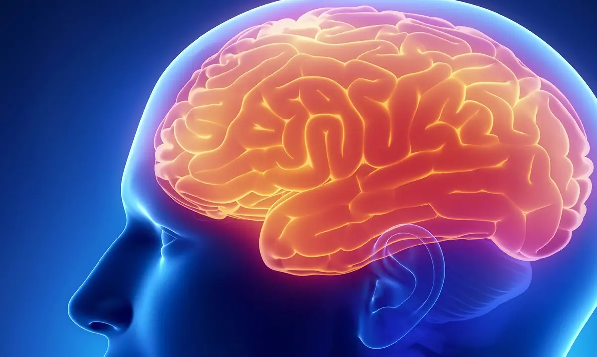 FENITOÍNA: Qué es, para qué sirve, nombre comercial y más