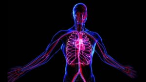 PROCAÍNA: Qué es, para qué sirve, nombre comercial y más