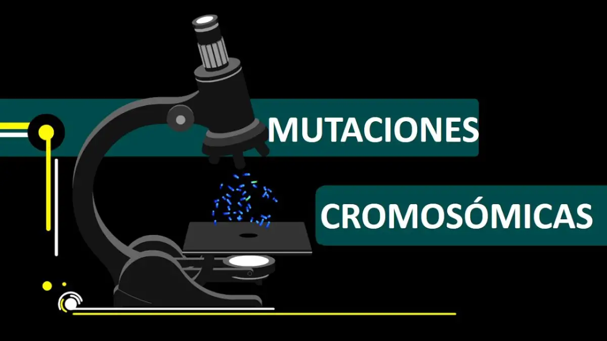 ¿QUÉ ES LA MUTACIÓN CROMOSÓMICA? TODO SOBRE SUS TIPOS